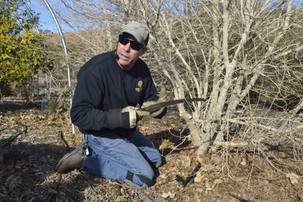 First Choice Tree Service | Always Your Best Choice!