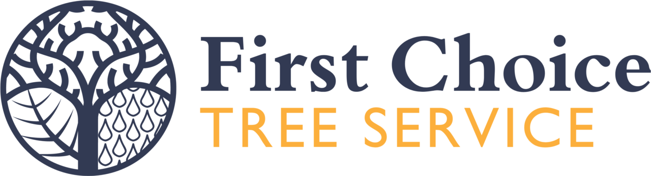 Contact Us | First Choice Tree Service