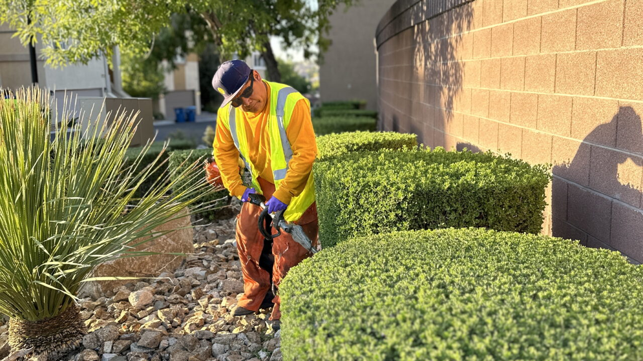 First Choice Tree Service | Always Your Best Choice